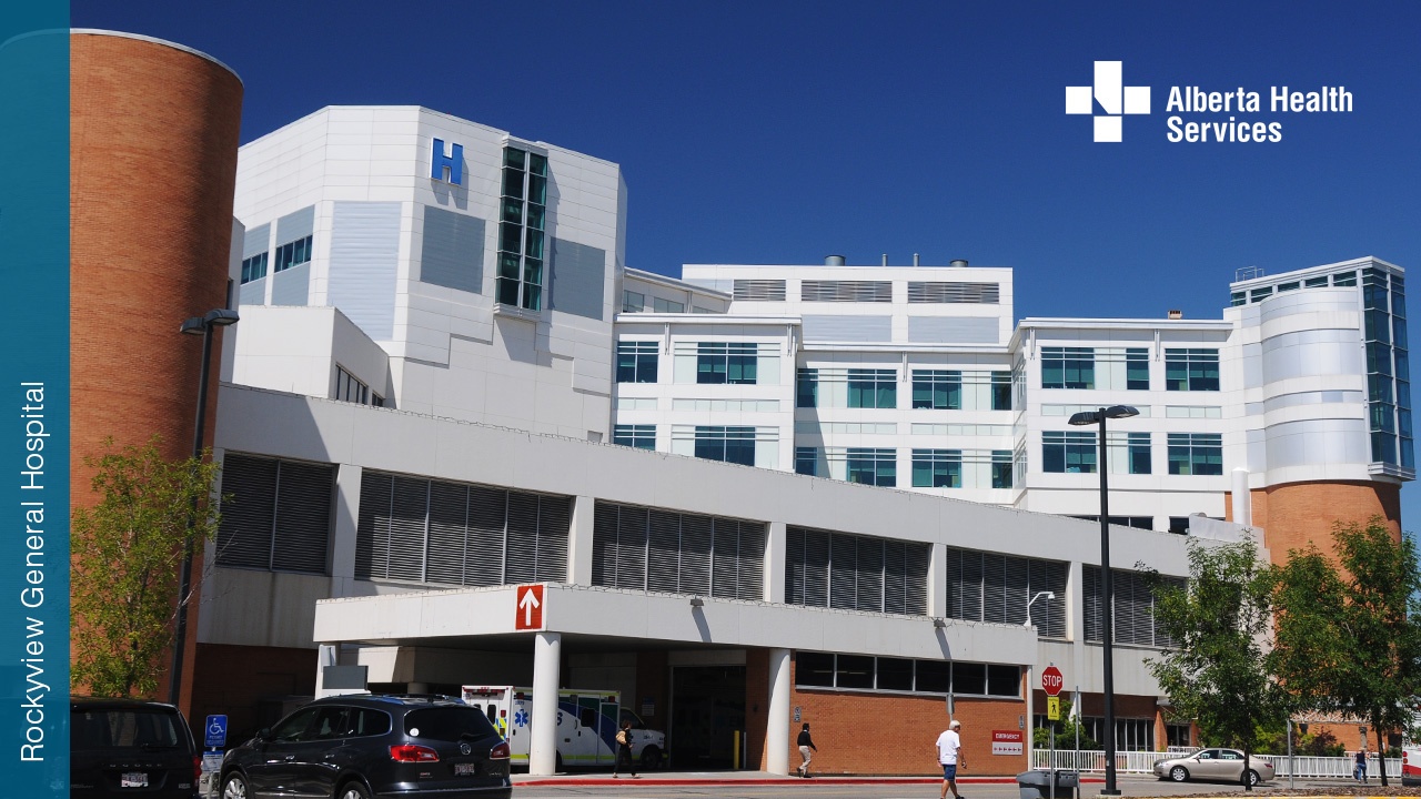 YHC – Diversity Liaisons